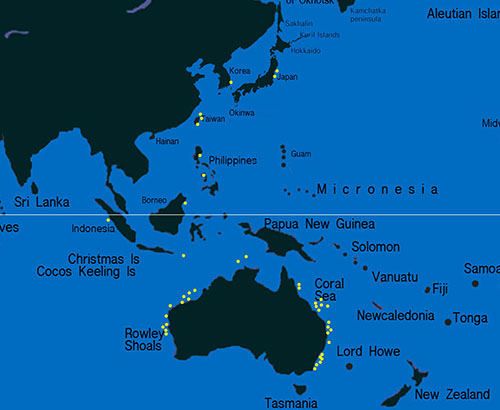기점별성대(Robust armoured-gurnard). Satyrichthys welchi