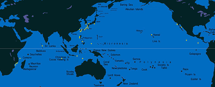 항알치(Keel-jawed needle fish). Tylosurus melanotus
