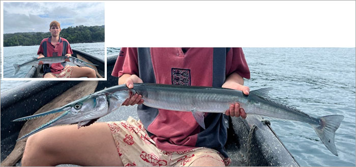 꽁치아재비(Hound needlefish). Tylosurus crocodilus