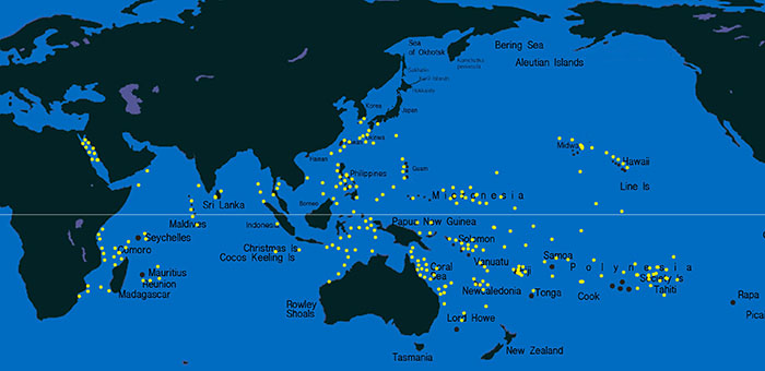 무늬얼게돔(Sammara squirrelfish). Neoniphon sammara