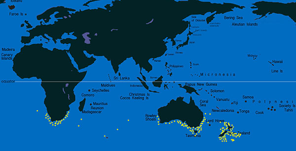 왕은달고기(King dory). Cyttus traversi