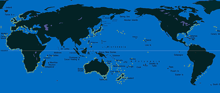 달고기과 Family Zeidae(Dories)