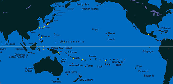 짧은꼬리실고기(Short-tailed pipefish). Microphis brachyurus(Bleeker, 1854)