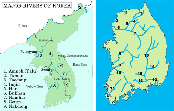낙동납자루(Broad-margined Bitterling(Tanakia latimarginata) ). Tanakia ...