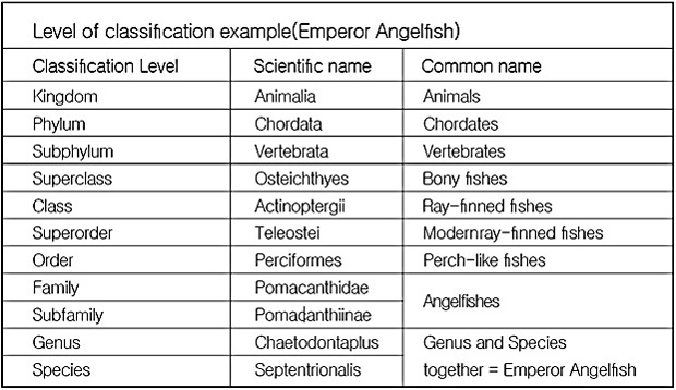 분류학 체계 이해를 위한 도움말 Understanding How Scientifically Cataloguing Fish Names
