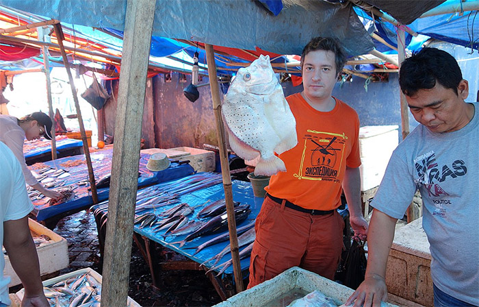 시클피시과 Family Drepaneidae(Sicklefishes) 참고용 국외종(Foreign species)