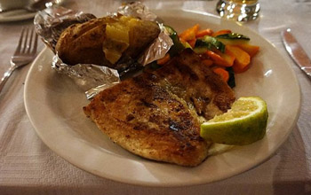 나일 농어(Nile perch) Lates niloticus (Linnaeus, 1758)