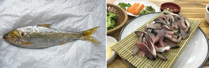 청어과 Family Clupeidae(Herrings, shads, sardines, menhadens)