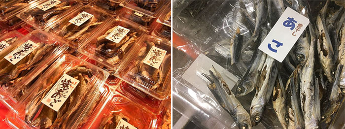 날치과 Family Exocoetidae(Flyingfishes)