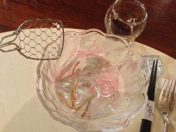 사백어(Ice goby). Leucopsarion petersii