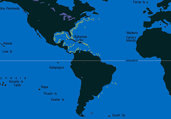 비어드피시(Beardfish). Polymixia lowei(Günther, 1859)