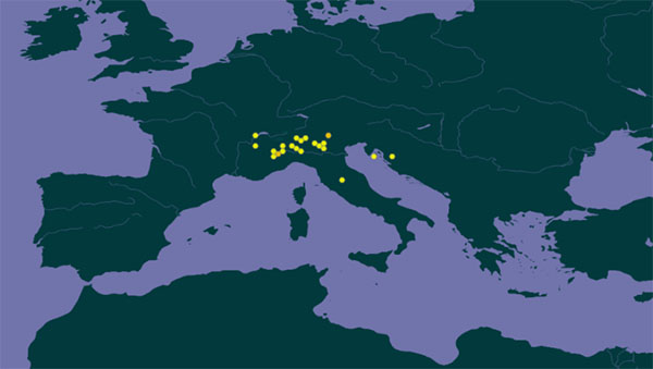 강꼬치고기과 Family Esocidae(Pikes).