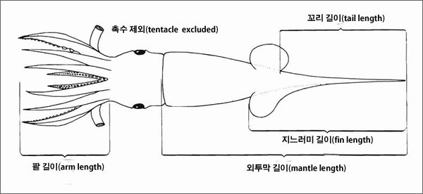 수중세계의 최고, 최하, 최대, 최소, 최악 챔피언들