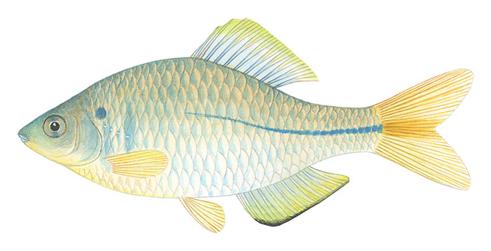 301 Moved Permanently