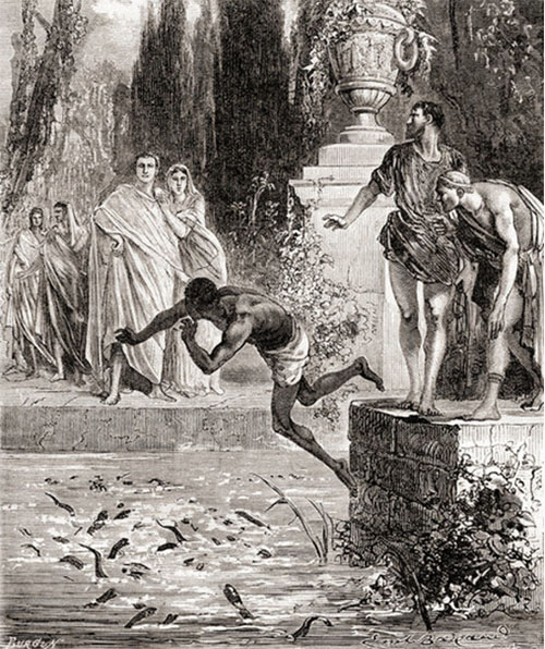 칠성장어과 Family Petromyzontidae(Lampreys)