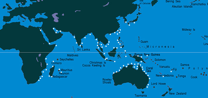 물멸(Dorab wolf-herring). Chirocentrus dorab
