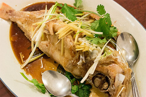 장문볼락(Pacific Ocean perch). Sebastes alutus