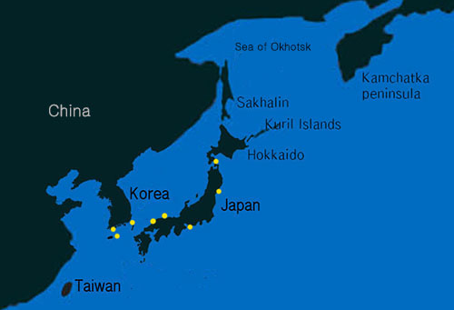 눌치볼락(Korean fox jacopever). Sebastes ijimae