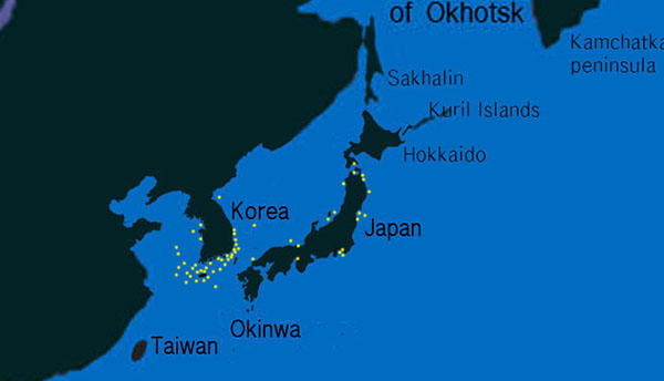 불볼락(Goldeye rockfish). Sebastes thompsoni