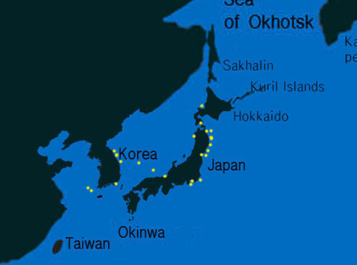 누루시볼락(Fox jacopever). Sebastes vulpes