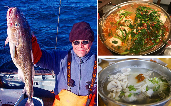 대구과(大口科) Family Gadidae(Cods and haddocks).