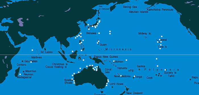 날개멸(Japanese codlet). Bregmaceros japonicus