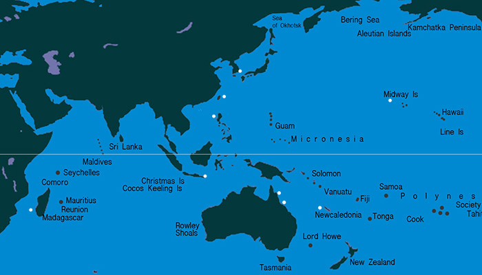오리주둥이장어(Bridge duckbill eel). Nettenchelys gephyra