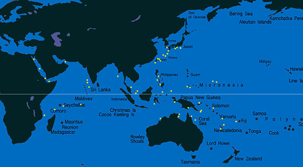 솔잎숭어(Hornlip mullet) Plicomugil labiosus