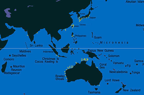 툼빌매퉁이(Wanieso lizardfish). Saurida wanieso