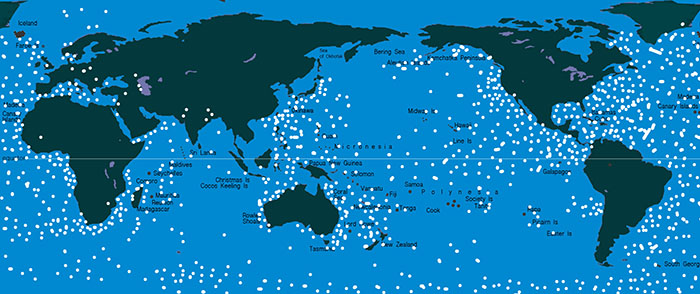 화살치과 Family Paralepididae(barracudinas)