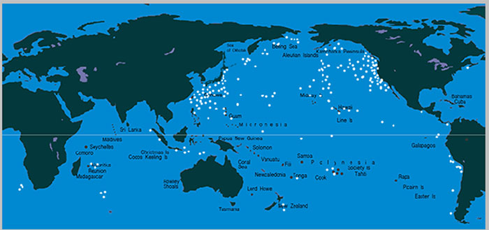 딮워터 브리슬마우스(Deep-water bristlemouth). Cyclothone atraria