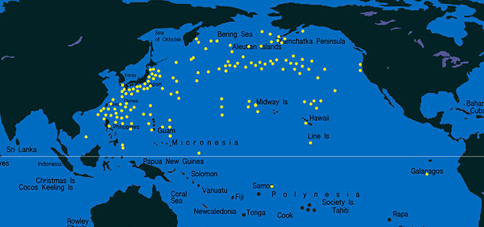 솔니앨퉁이(Slender fangjaw). Sigmops gracilis