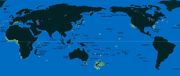꼬리투라치(Mediterranean dealfish). Trachipterus trachypterus