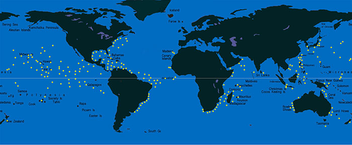 갈마니샛비늘치(Garman's lanternfish). Diaphus garmani
