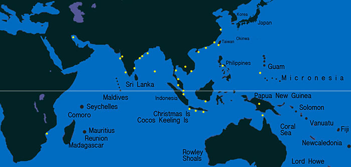 북멸(Moustached thryssa). Thryssa mystax