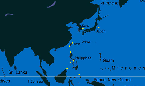 작은눈긴가시민태 (Microps grenadier). Coryphaenoides microps