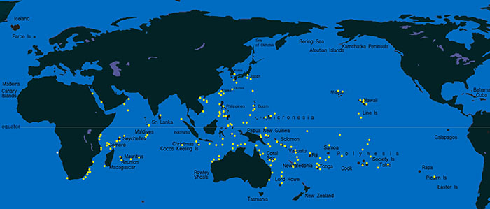 수염첨치(Goatsbeard) Brotula multibarbata