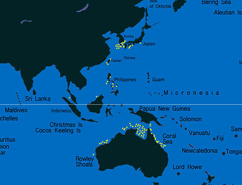 동갈메기(Golden cusk) Sirembo imberbis