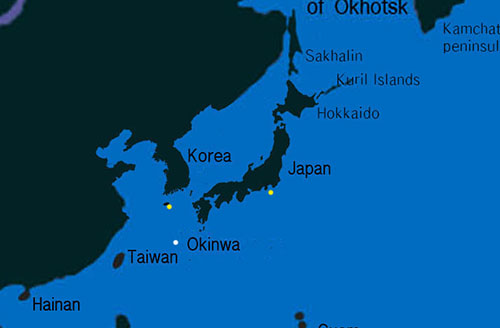 돛치(Masudai velvetfish).Cocotropus masudai(Matsubara, 1943) Family 306